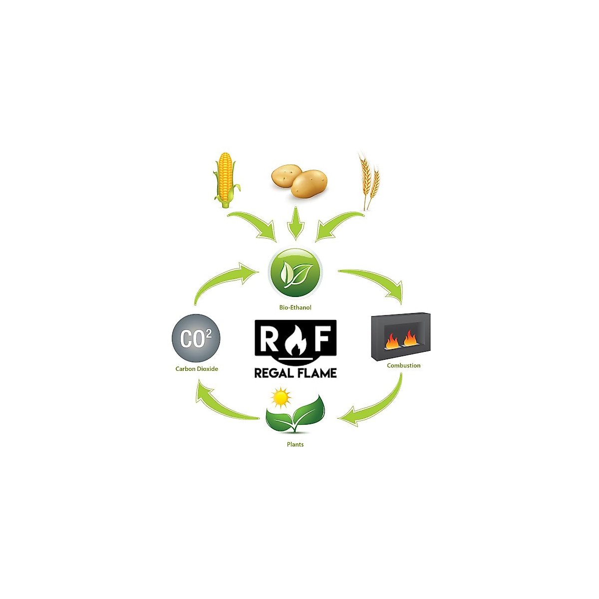 Regal Flame Elite Bio Ethanol Fireplace Fuel 6 Pack - Indoor/Outdoor