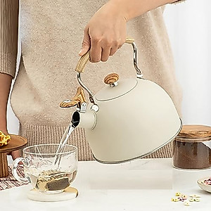 2.5L Whistle Gas Stove Top Kettles, Stainless Steel Whistling Kettle,with Anti-Scald Handle, Suitable for All Heat Source▂19 * 21CM/7.5"*8.3"