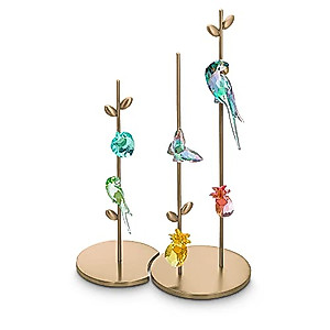 SWAROVSKI womens Brooch Magnet, ParRot Magnet - Small, One Size US