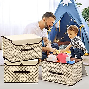 weallbuy Storage Boxes with Lids, 4 Foldable Storage Bins, Organizer Bins Set for Clothes Toys Books Cosmetics Sundries (Moring Glory)
