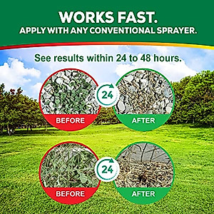 Weed Killer Concentrate - Eco Living Solutions Weed Killer Spray | Pet Safe Weed Killer | Organic Weed and Grass Killer | Moss Killer | Crabgrass & Dandelion Killer | Glyphosate Free Herbicide