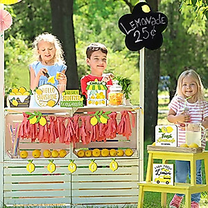 15 Pieces Summer Tiered Tray Decor Set Farmhouse Summer Wood Sign Rustic Beach Tiered Tray Decorations for Home Kitchen Table Shelf (Lemon)