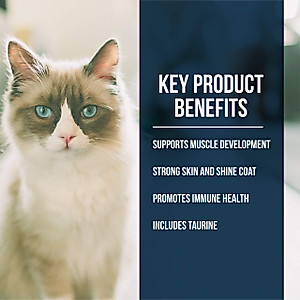 Fussie Cat Market Fresh Salmon Meal Formula Grain-Free Dry Cat Food 4lb