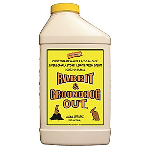 Rabbit & Groundhog Repellent: Rabbit Out 32oz Concentrate
