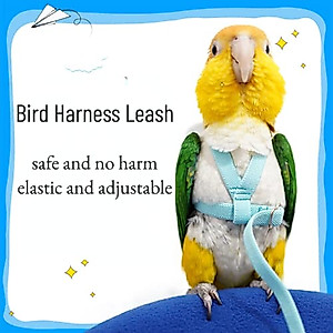 Pet Parrot Bird Harness Leash Adjustable Bird Flying Harness Traction Rope with Cute Wing for Parrots Pigeons Budgerigar Lovebird Cockatiel Mynah Outdoor Training Toy (S, Blue)