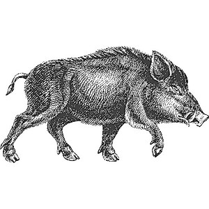 CafePress Wild Boar Mug Ceramic Coffee Mug, Tea Cup 11 oz