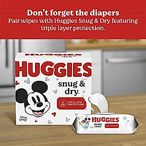 Huggies Simply Clean Unscented Baby Wipes, 9 Flip-Top Packs (576 Wipes Total),64 Count (Pack of 9)