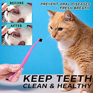 PenVinoo Dual Sided cat Toothbrush, Finger Toothbrush with Micro Head for Small to Large Dogs & Cats (Black, Small Round)