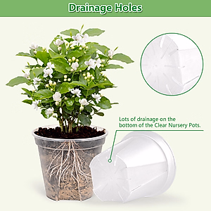 20Pack 4/5/6/7 inch Clear Nursery Pots with 20 Drip Trays 50Pcs Plant Labels, Plastic Reinforced Gardening Pots with Drainage Holes, Assorted Nursery Pots for Plants Succulent Vegetable Flowers