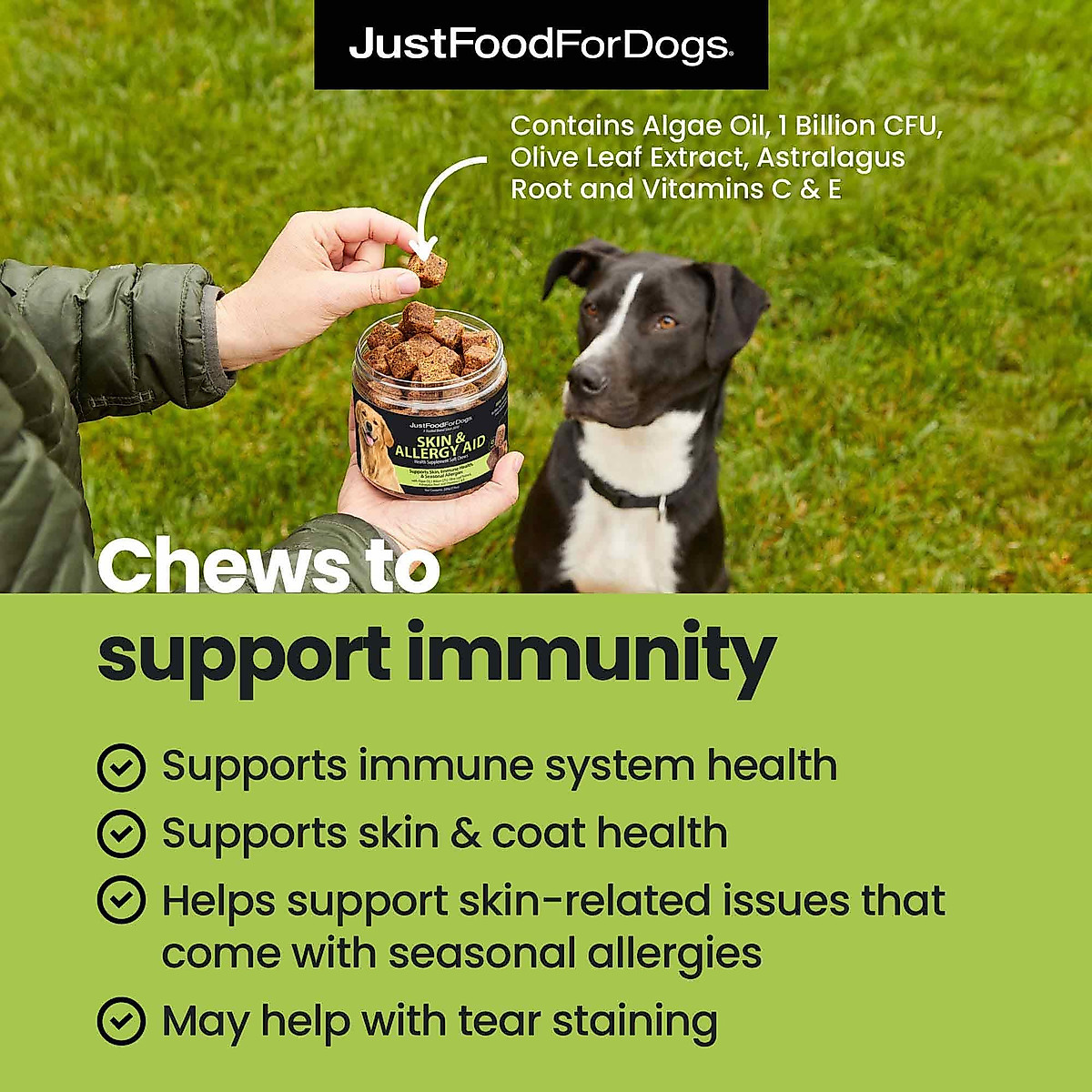 JustFoodForDogs Skin & Allergy Care Soft Chews Supplement for Dogs, Seasonal Allergies, Itchy Skin, Inflammation, Immune Support - 45 Count