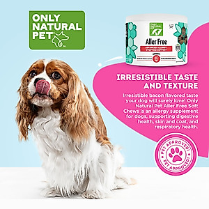 ONLY NATURAL PET AllerFree Advanced Allergy Support for Dogs w/Quercetin & Probiotics - Immune, Respiratory, Skin & Coat Health - Itchy Paws & Licking - Bacon-Flavored 60 Soft Chewable