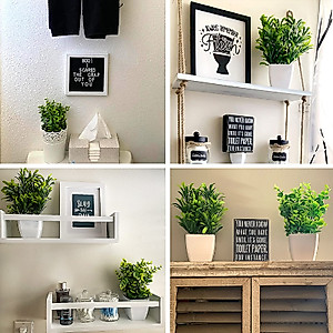 Whonline 2pcs Small Fake Plants, Mini Potted Plants for Home Bathroom Shelf Decor, Artificial Eucalyptus Plants for Office Desk Greenery Decoration