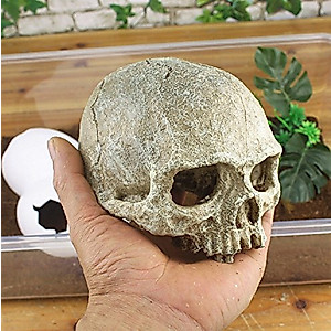 Hewnda Aquarium Decor Resin Artificial Head Skeleton Decoration - Aquarium Otaru Aquarium Decorative Cave Landscape Pet Reptile House