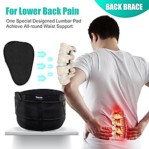 FITBELTZ Back Brace for Men and Women Back Belt for Lower Back Pain Relief, Herniated Disc, Sciatica and Scoliosis, Breathable Mesh and Adjustable Lumbar Lower Back Support Belt