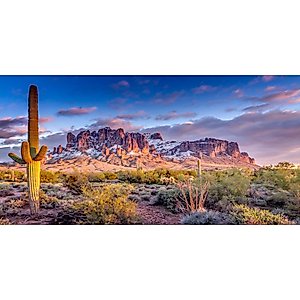Leyiyi 30x12 inches Arazona Mountain Cactus Photography Background Desert Sunset Summit Western American Travel Hiking Desert Flora Cloud Desolate Cowboy Polyester Backdrop Terrarium Background