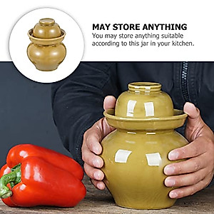 KOAIUS 1kg Terracotta Traditional Chinese Fermenting Jar Stoneware Pickles Jar with Water Sealed Airlock Lid Ceramic Food Canister Bottle for Pickling Kimchi Sauerkraut jar