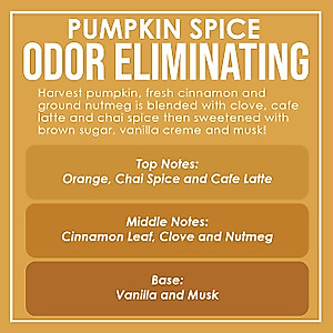 Pumpkin Spice Odor Eliminating Highly Fragranced Candle - Eliminates 95% of Pet, Smoke, Food, and Other Smells Quickly - Up to 80 Hour Burn time - 12 Ounce Premium Soy Blend