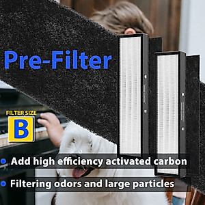 Hopelife Flt4825 Hepa Filter B,Compatible with Guardian Ac4825 Replacement Filter,Compatible with Guardian Air Purifier Filter Replacement AC4825 AC4300 AC4800 AC4900 AC4850 CDAP4500 AP2200