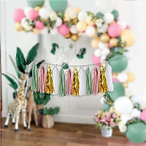 25PCS Sage Green Dusty Pink Boho Tissue Tassel Garland Banner Hanging Backdrop Classroom Nursery Girl Baby Shower Wedding Bridal Shower Birthday Jungle Safari Party Décor
