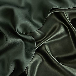 DISANGNI 100% Mulberry Silk Silk Pillowcase, Used for Hair and Skin, Envelope Type, Silk on one Side and Tencel on The Other Side, Count 600, 1pc (Green, Queen(50x75cm))