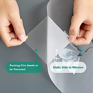 SUNBABY Magnolia Window Privacy Film: Stained Glass Window Film, Frosted Glass Window Film, Decorative Window Film, Window Cling Privacy Film