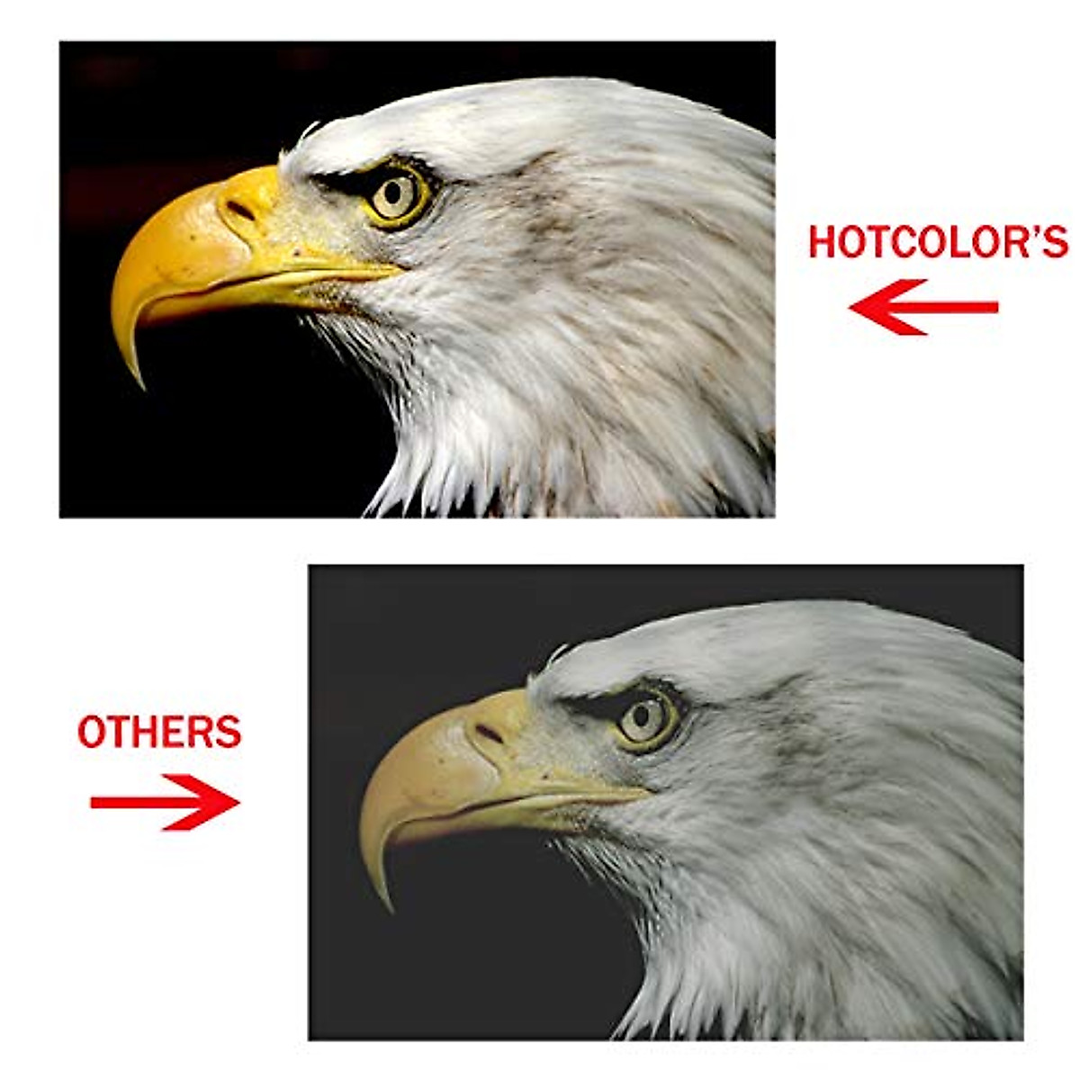 HOTCOLOR LC75xl Ink cartridges Replacement for Brother Printer Ink LC71xl LC75xl Black for Brother MFC-J280W MFC-J425W MFC-J6710DW MFC-J6510DW Printer (8 Black,8PK)