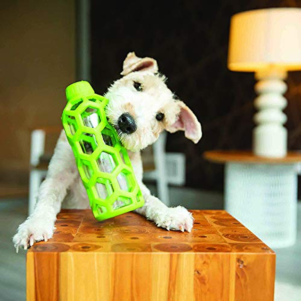 JW Pet Hol-ee Bottle Dog Chew Puzzle Toy, Medium
