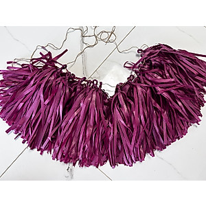 15 Pcs Burgundy Tassel Garland Wedding Party Supplies Decoration Tassel Banner for Birthday Baby Shower Bridal Shower Bachelorette Decoration