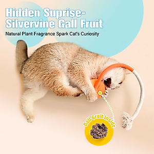 Gochanmon Cat Toys, Rechargeable Flapping Bat Catnip Toy,Touch Activated Kitten Toys, Lifelike Bat Chirping Interactive Cat Toys for Indoor Cats,Kitty Toys Cat Kicker Toys for All Breeds…