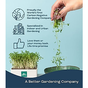 Herb Garden Kit Indoor – Indoor Herb Garden Starter Kit – Dwarf Tomato, Chili Pepper and Eggplant Seeds – Sturdy Reusable Planter, Enriched Soil & Bamboo Labels – Indoor Garden Kit