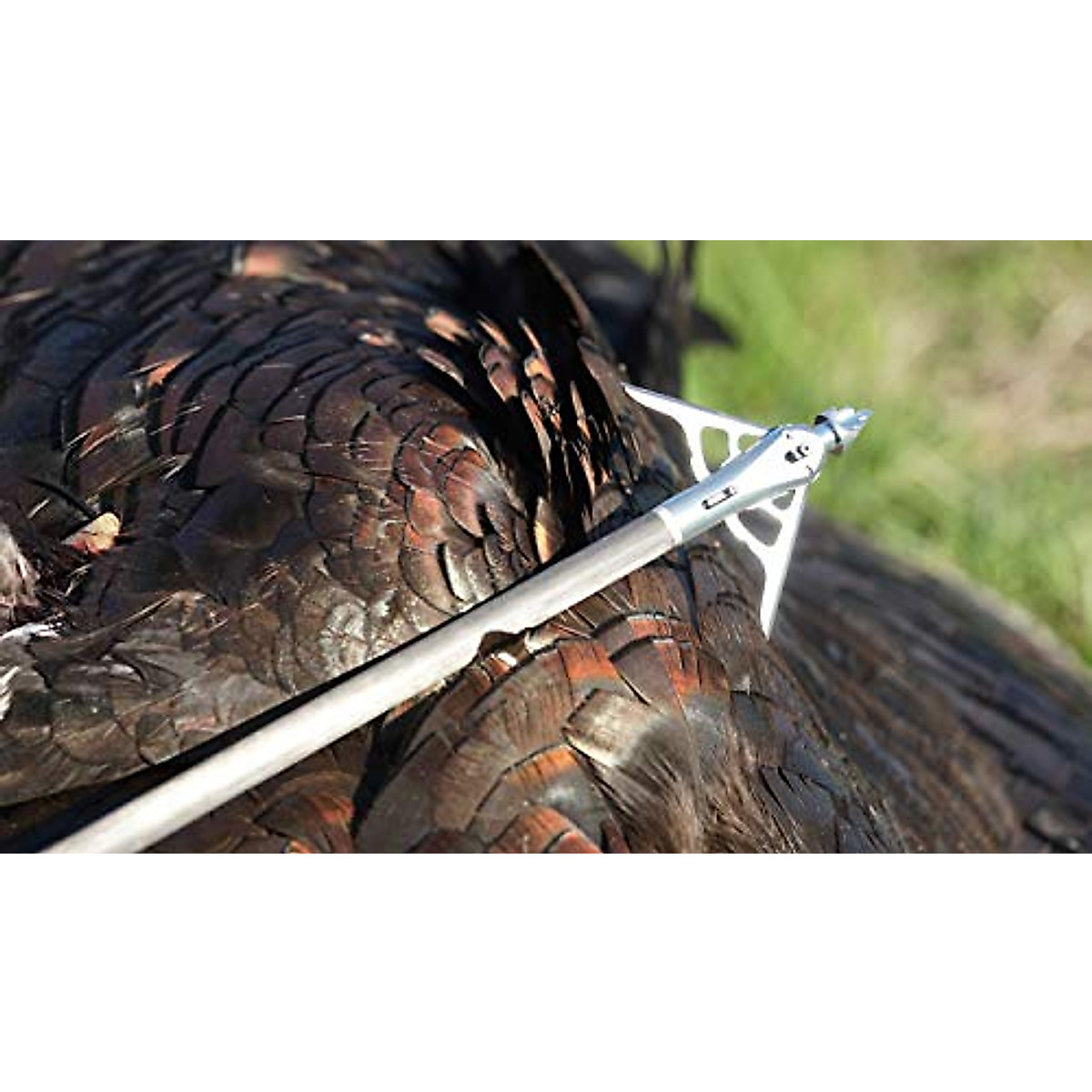 Ramcat Mechanical Broadheads (Cage Ripper)