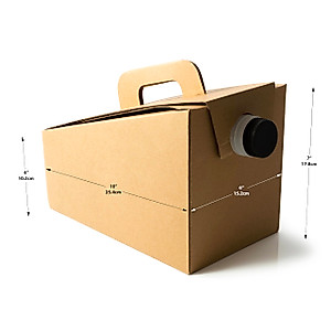 Rimcrow Disposable Coffee To Go Container for Catering Hot or Cold Beverages; 10 Portable and Insulated 96 oz Carafe; Cardboard Coffee Box with Handle; Includes 100 Pack Plastic Stir Sticks