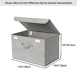 GRANNY SAYS Bundle of 2-Pack Storage Bins with Lids Large & 1-Pack Hanging Closet Organizer