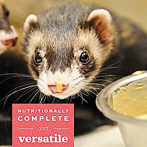 Oxbow Animal Health Critical Care, Carnivore, 70 Gram Bag