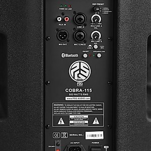 PSG AUDIO Cobra 115 Professional Active Speaker 2000 Watts with Bluetooth PA Speaker, 2-Channel Mixer with DSP Control, Ideal for Musicians, Churches, DJs. (Designed in USA) Support US Business