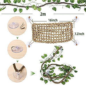 Woiworco Bearded Dragon Tank Accessories, 22 Packs Reptile Habitat Accessories Kit, Lizard Hammock Climbing Jungle Vines, Artificial Leaves, Coconut Hut, and Shells Leopard Gecko Tank Accessories