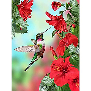 HSENJT DIY 5D Diamond Craft Painting Kits Bird,Flowers Diamond Art for Adults Kids,Hummingbird Full Drill Diamond Arts Crafts for Wall Decor Gift Relaxation 12x16 Inch