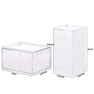 2 Pack Acrylic Reptile Terrarium Insect Tarantula Enclosure Tank Snail Spider Habitat Cage Mini Critter Keeper Insect Carrier Transparent Reptile Isopods Lizards Roach Invertebrates Insect Feeding Box
