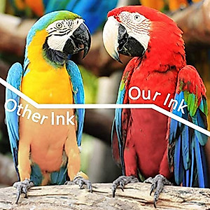 Printers Jack Compatible Epson T664 Refill Ink Bottle kit for Expression ET-2650, ET-2500, ET-2550, ET-2600 & Workforce ET-16500, ET-4500, ET-4550 Printers