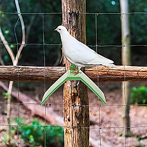 Yardwe 20pcs Plastic Pigeon Rest Stand Bird Perches Bird Dwelling Stand Frame for Bird Supplies Random Color