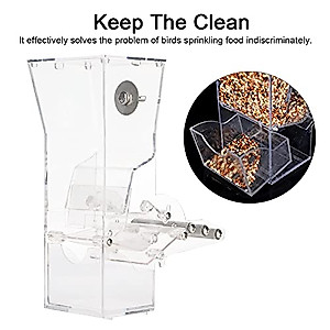 Bird Cage Automatic Feeder,Acrylic High Capacity Bird Food Dispenser Parrot Feeder Cage Accessories for Parakeet Canary Cockatiel Finch