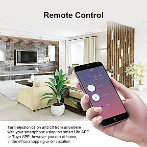 JINTU Smart Plug,Smart Outlet Home Wifi Dual Two USB Plug Compatible with Alexa, Google, IFTTT for Smartphone, Voice Control, Remote Control,No Hub Required,Overload Protection
