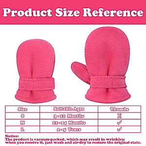Sherpa Baby Girls Mittens - Winter Toddler Snow Gloves 12-18 Months