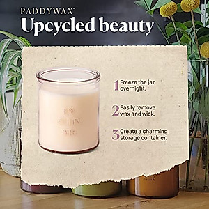 Paddywax Firefly Candle Co. En Plein Air Scented Candles with Soy Wax Blend and Reusable Glass Jar for Home Fragrance and Aromatherapy - 10 Ounce, Grapefruit Mangosteen, Blush Pink
