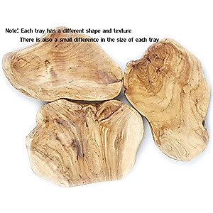 EWEIGEER Wood Fruit Snack Dish Hand-Carved Candy Dish Natural Handmade Wooden Serving Tray Wood Root Carved Dish Fruit Bowl 12.5"