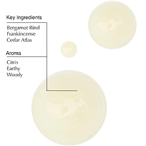 Aesop Geranium Leaf Body Cleanser and Shampoo | Paraben, Cruelty-free & Vegan | 16.9 oz