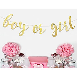 Boy or Girl Banner - Gender Reveal Decorations Banner, Boy or Girl Sign,baby Shower Banner for Boy/girl, Baby Girl Shower,oh Baby Banner,girl Baby Shower,it’s a Girl Banner