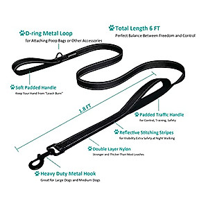 Heavy Duty Dog Leash - 2 Handles by Padded Traffic Handle for Extra Control, 6foot Long - Perfect for Medium to Large Dogs (6 ft, Black)