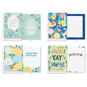 American Greetings Deluxe All Occasion Cards with Envelopes - Birthday, Thanks, Congrats and More (40-Count)