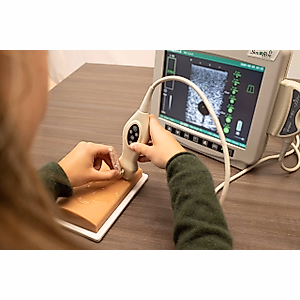 0705 - Vascular Access Ultrasound Phantom, Lightly pigmented